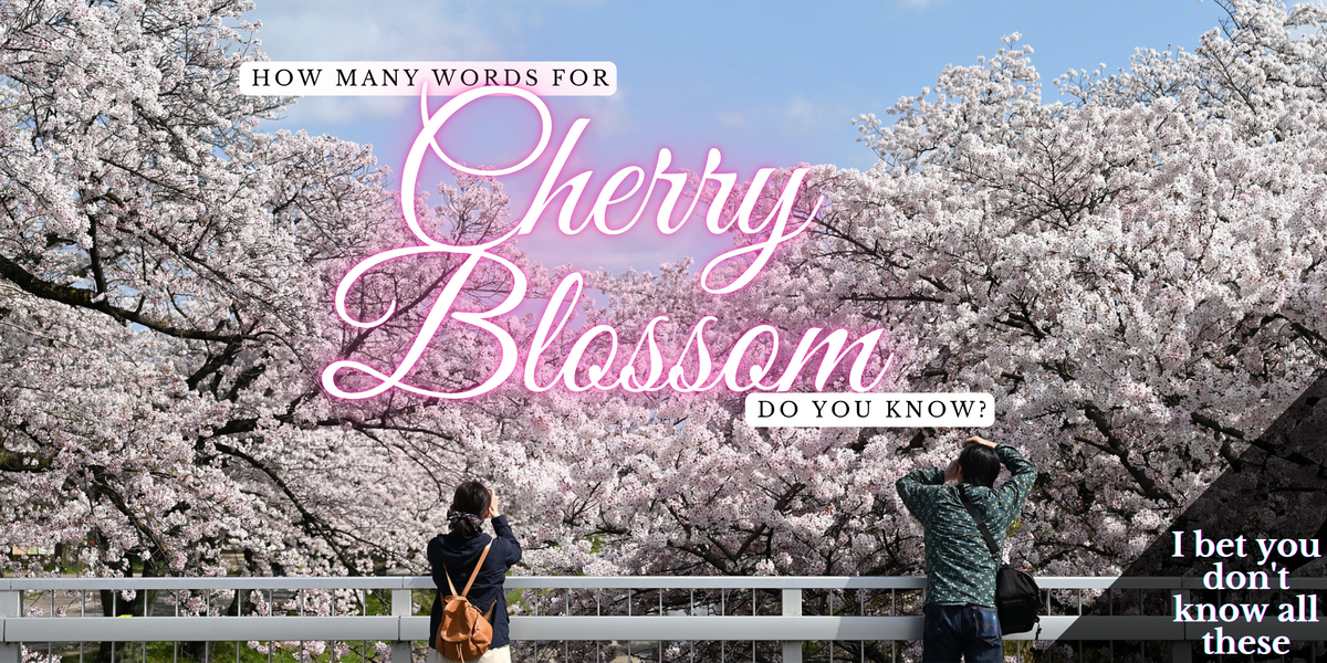 How Many Words For Cherry Blossom Do You Know? | Spirit of Japan